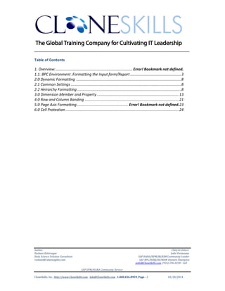 Step by step guide to formatting the SAP BPC EPM Sheet | PDF