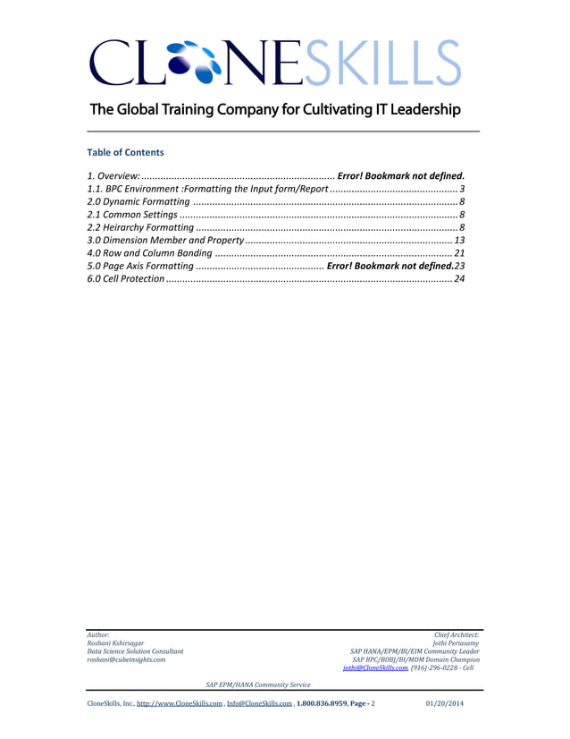 Step by step guide to formatting the SAP BPC EPM Sheet | PDF