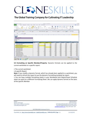 Step by step guide to formatting the SAP BPC EPM Sheet | PDF