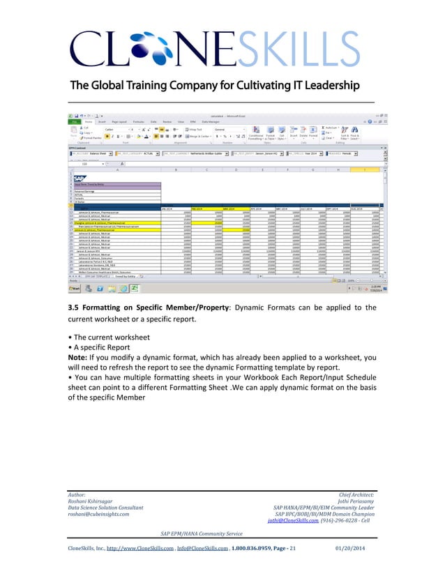 Step By Step Guide To Formatting The Sap Bpc Epm Sheet Pdf