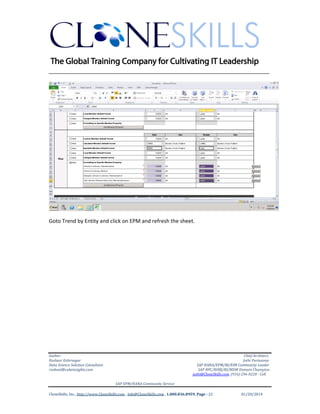 Step by step guide to formatting the SAP BPC EPM Sheet | PDF