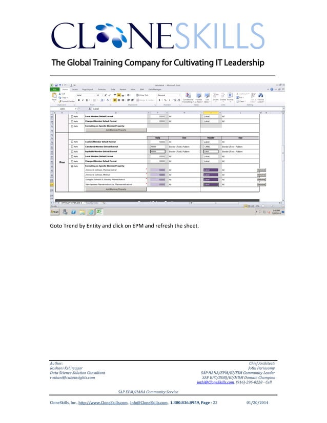 Step by step guide to formatting the SAP BPC EPM Sheet | PDF