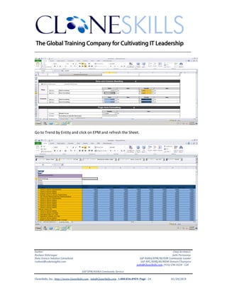 Step by step guide to formatting the SAP BPC EPM Sheet | PDF