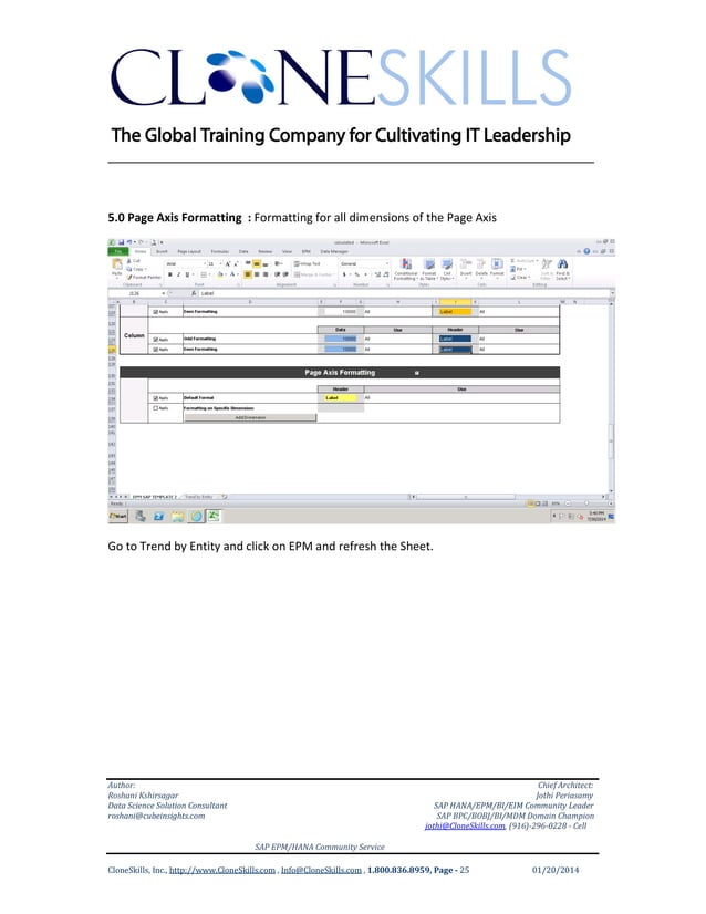 Step by step guide to formatting the SAP BPC EPM Sheet | PDF