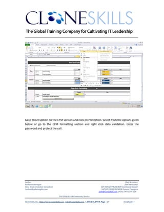 Step by step guide to formatting the SAP BPC EPM Sheet | PDF
