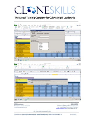 Step by step guide to formatting the SAP BPC EPM Sheet | PDF