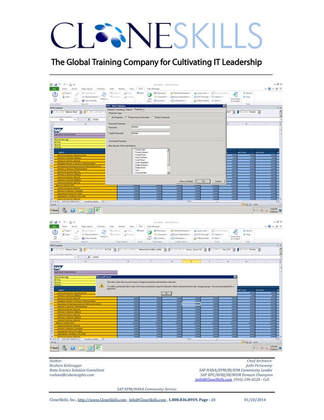 Step by step guide to formatting the SAP BPC EPM Sheet | PDF