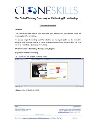 Step by step guide to formatting the SAP BPC EPM Sheet | PDF