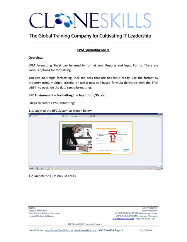 Step by step guide to formatting the SAP BPC EPM Sheet | PDF