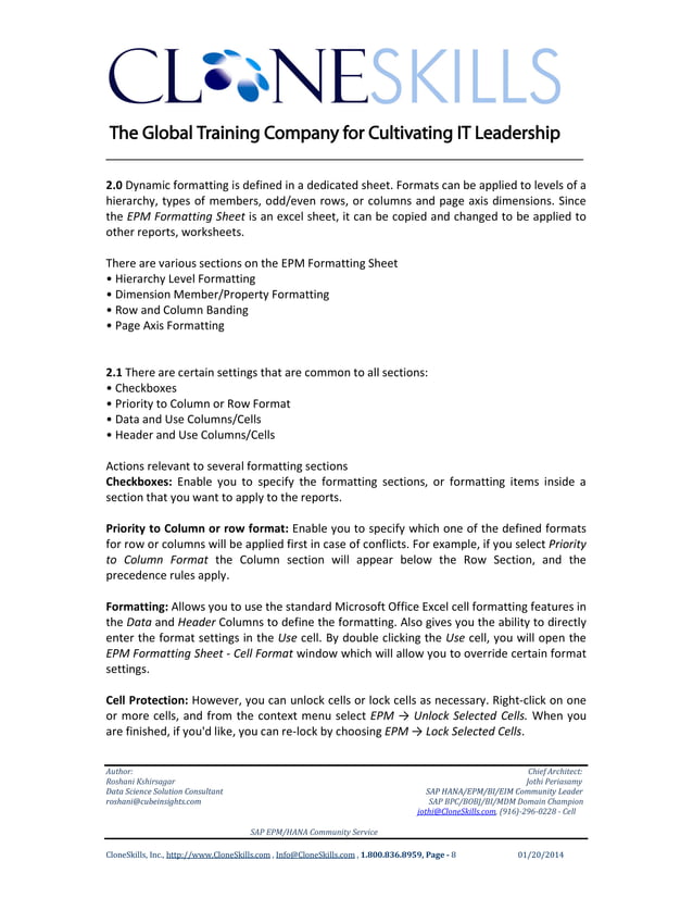 Step by step guide to formatting the SAP BPC EPM Sheet | PDF