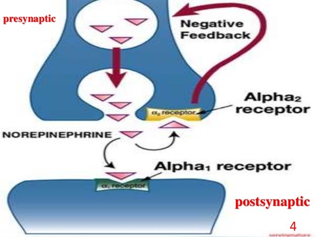 Clonidine Mechanism Of Action Catecholamine Induced Hypertensive