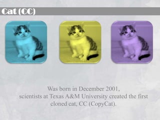 Human cloning | PPTX | Biological Sciences | Science