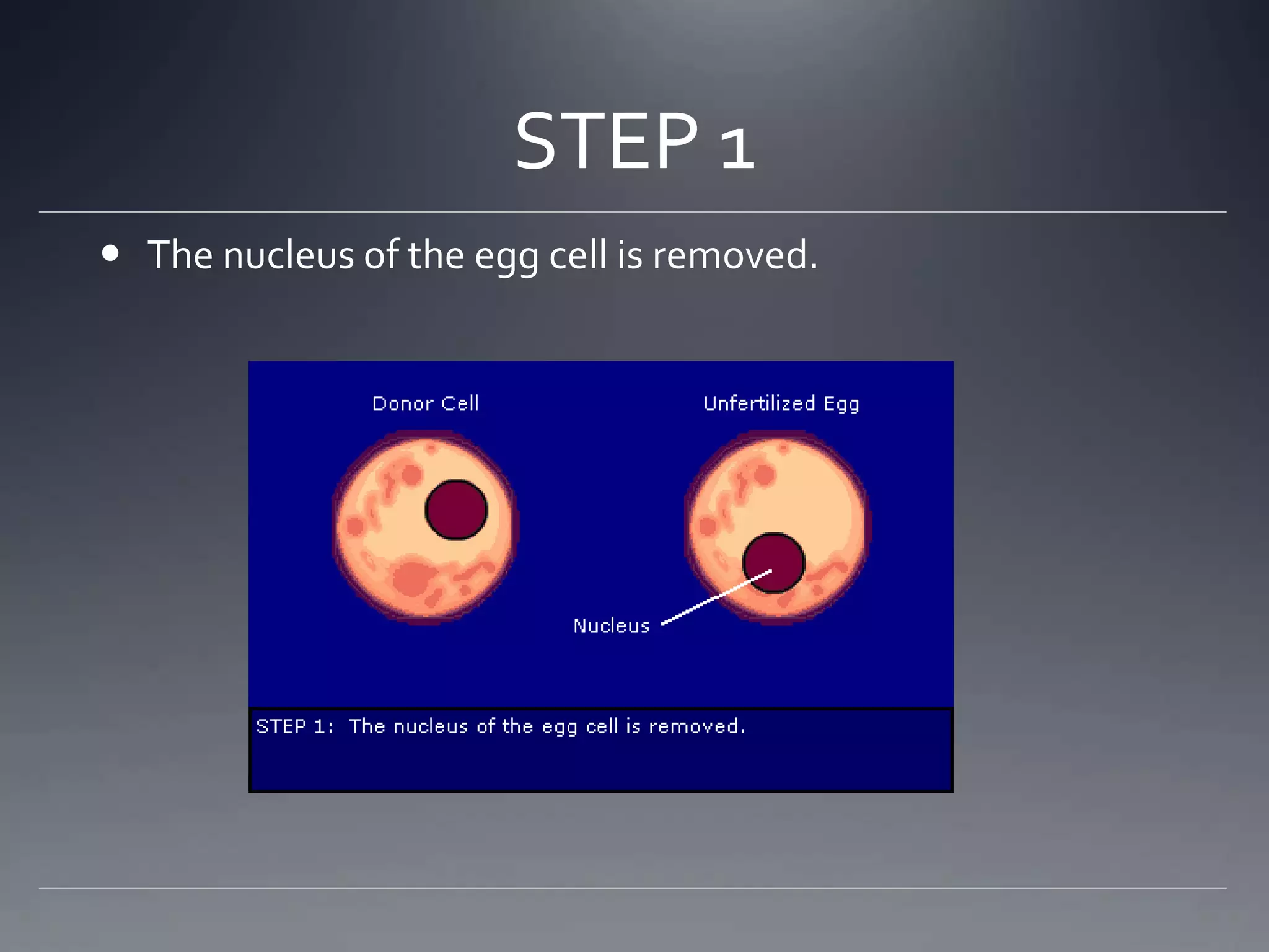 Honolulu Cloning Technique | PPTX | Infertility | Reproductive Health