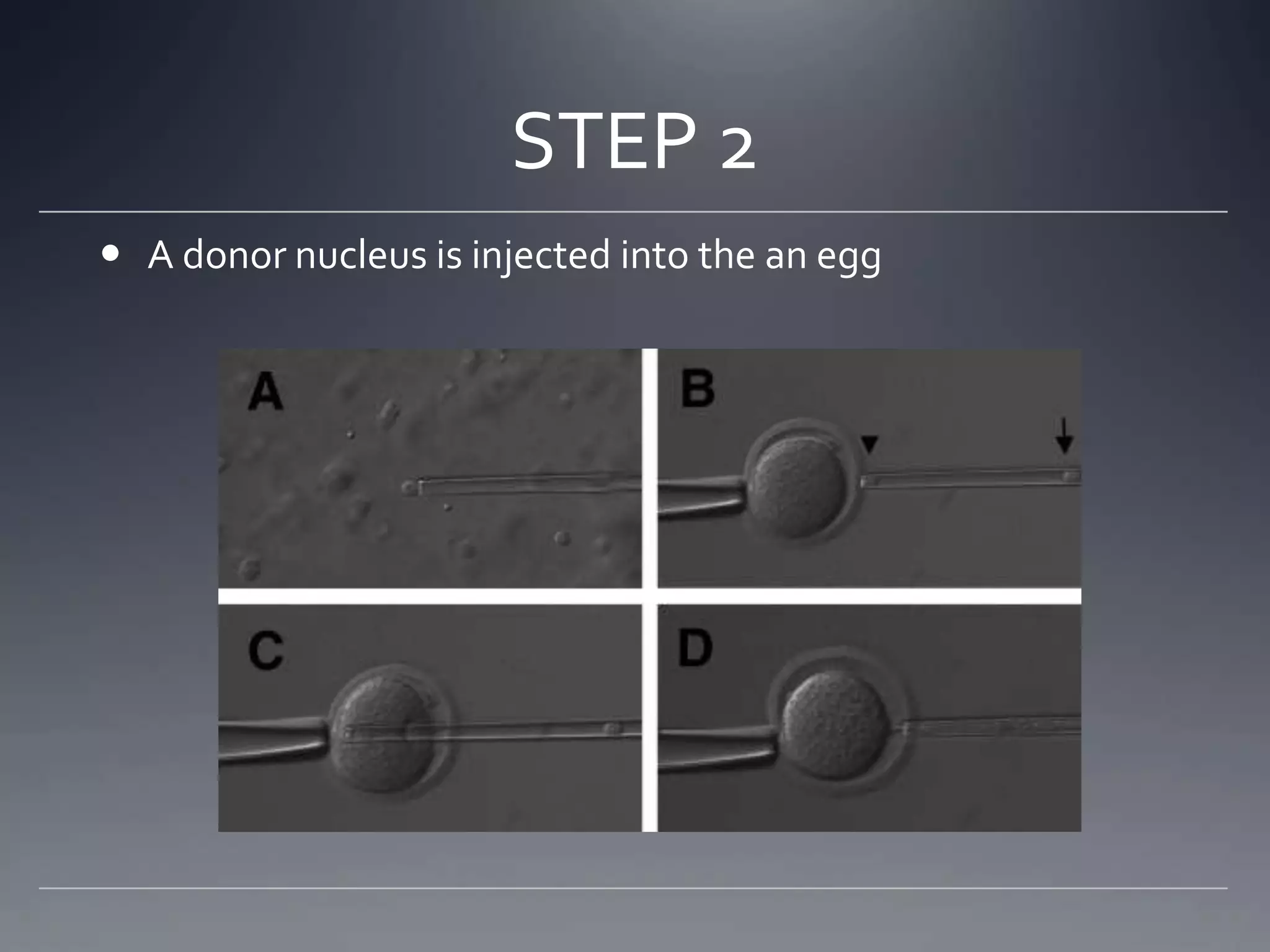 Honolulu Cloning Technique | PPTX | Infertility | Reproductive Health