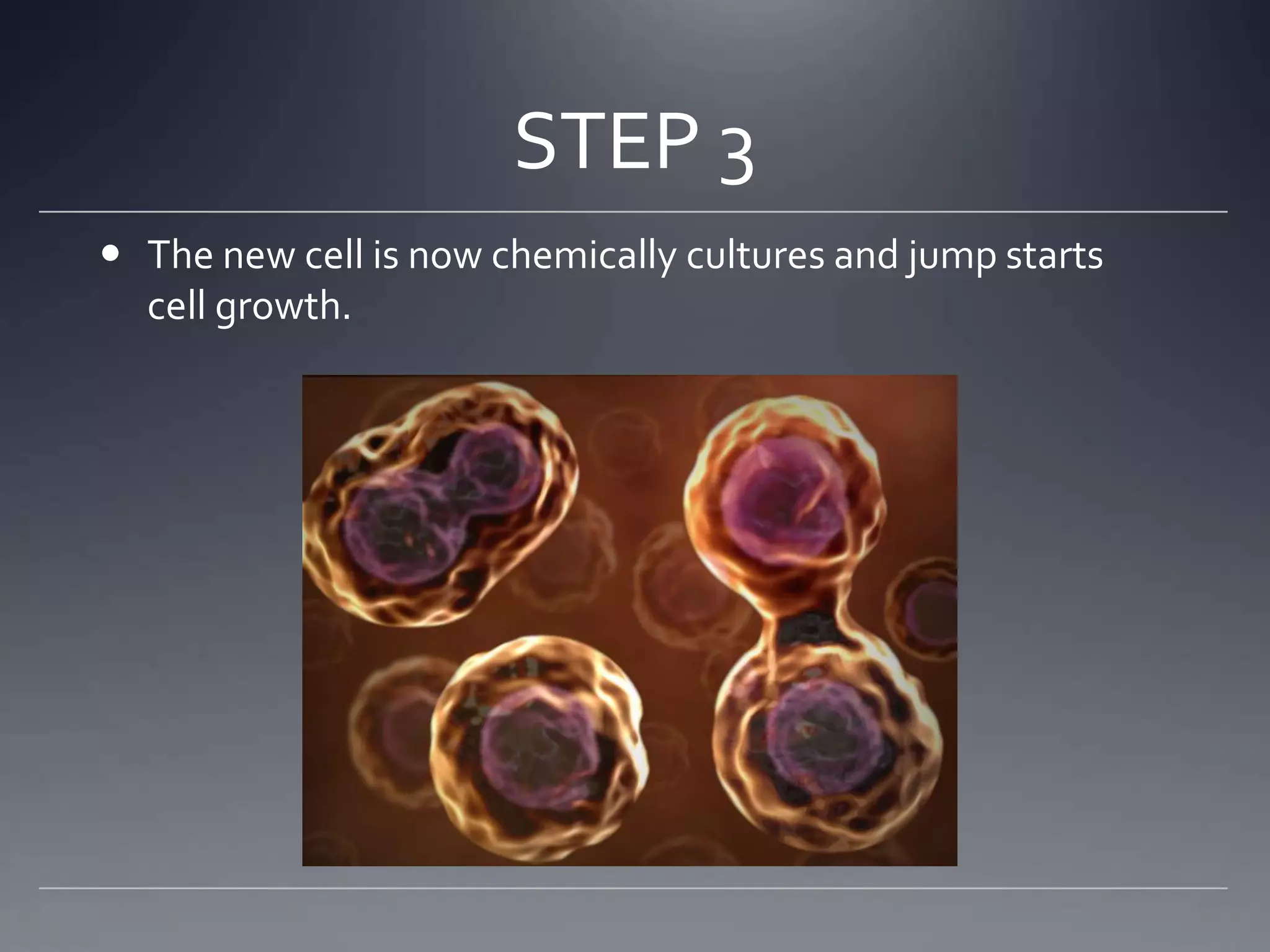 Honolulu Cloning Technique | PPTX | Infertility | Reproductive Health