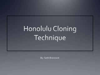 Honolulu Cloning Technique | PPTX