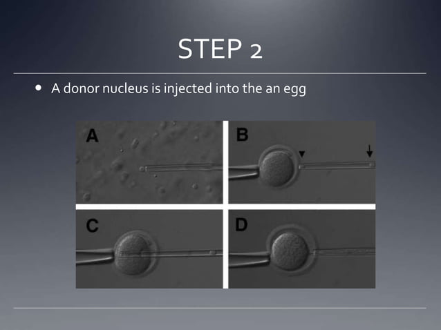 Honolulu Cloning Technique | PPTX | Infertility | Reproductive Health