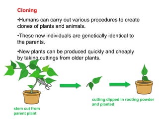 Cloning | PPTX