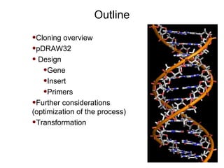 cloning | PPT