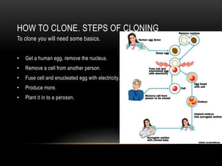 Cloning | PPTX