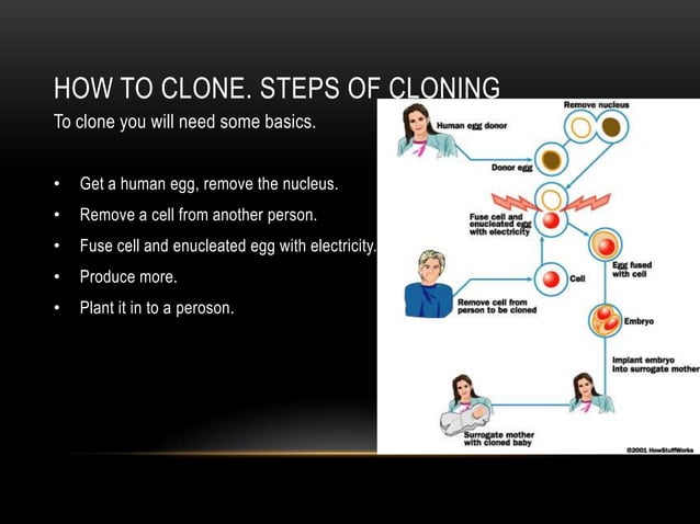 Cloning | PPTX