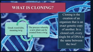 Cloning | PPSX