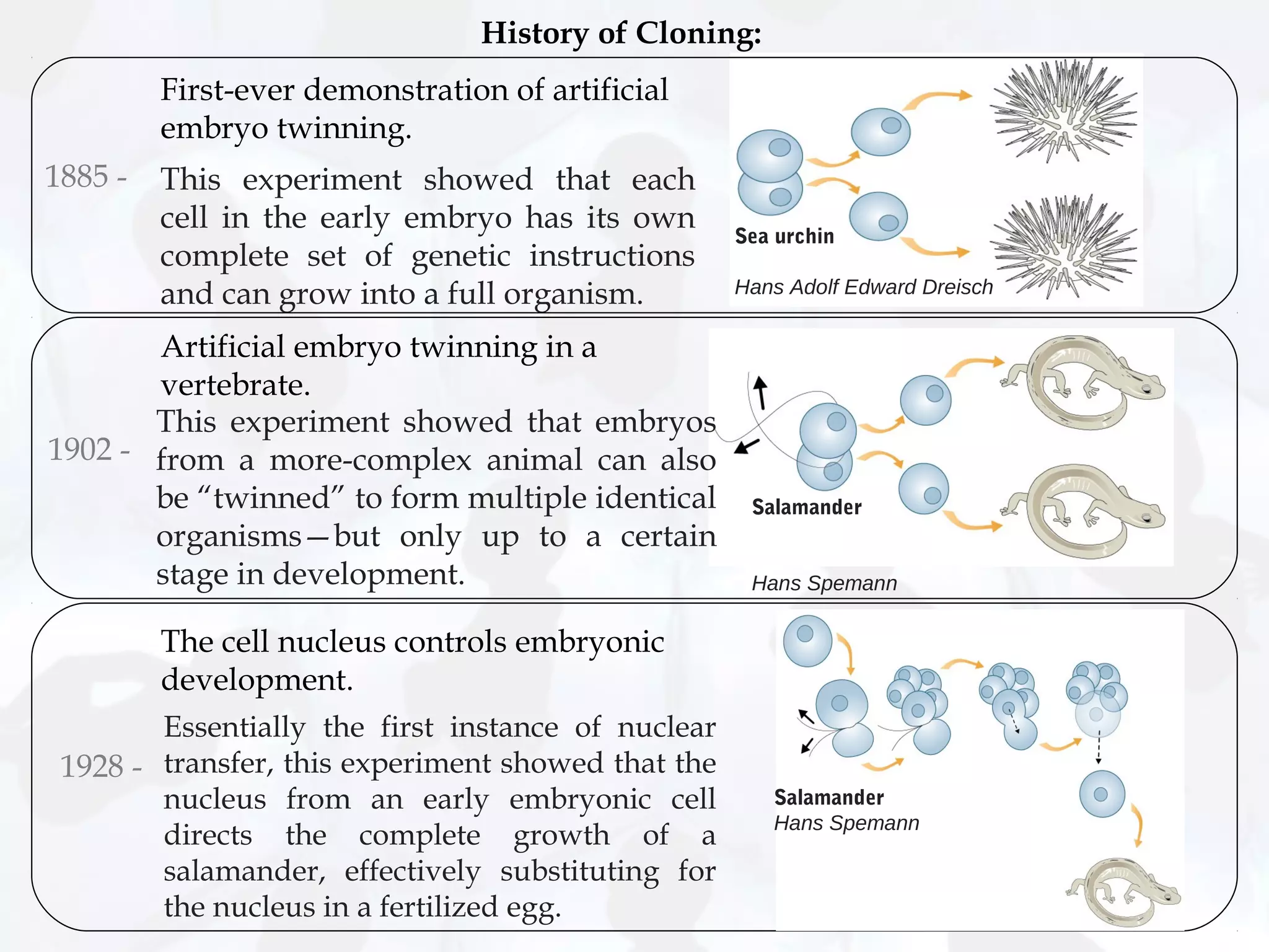 History of Cloning and Ethical Issues of Human Cloning | PPT