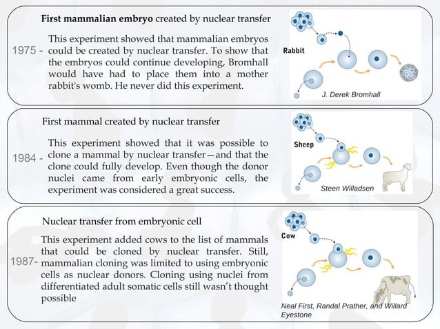 History of Cloning and Ethical Issues of Human Cloning | PPT ...
