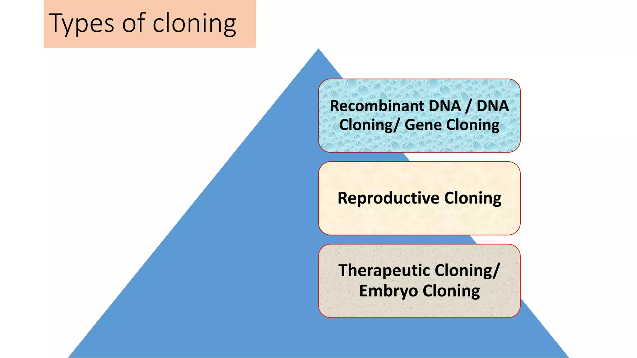 Cloning, Animal cloning, clone | PPTX