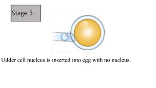 Cloning, Animal cloning, clone | PPTX