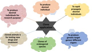 Cloning, Animal cloning, clone | PPTX