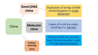 Cloning, Animal cloning, clone | PPTX