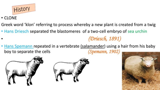 Cloning, Animal cloning, clone | PPTX | Reproductive Health | Diseases ...