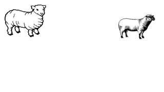 Cloning, Animal cloning, clone | PPTX