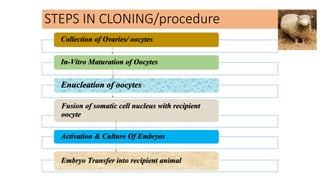 Cloning, Animal cloning, clone | PPTX