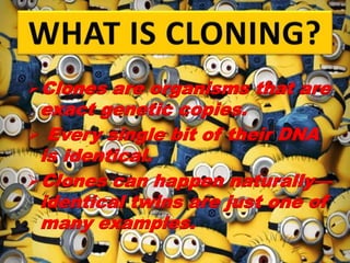 Cloning | PPT