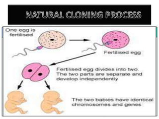 Cloning | PPT