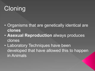 Cloning | PPT