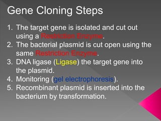 Cloning | PPT