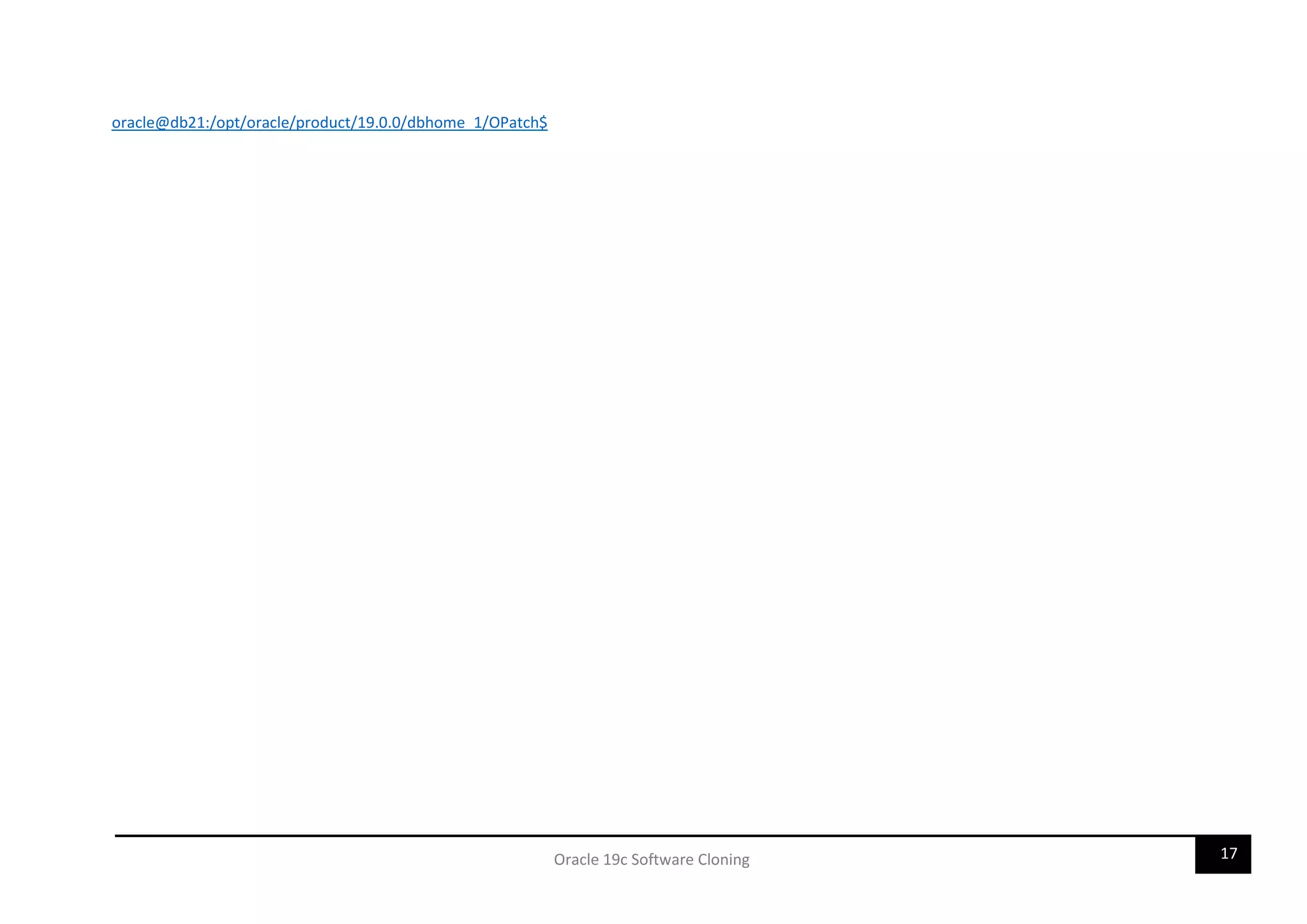 Cloning-19c-software-2.docx