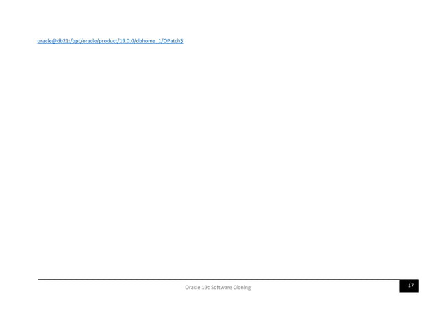 Cloning-19c-software-2.docx