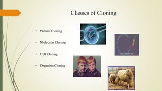 Cloning | PPTX