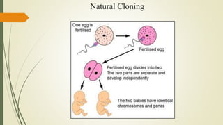 Cloning | PPTX