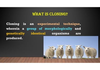 Cloning | PDF