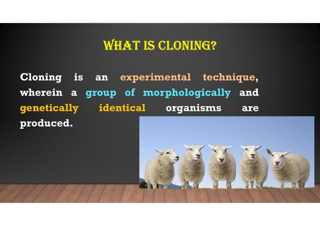 Cloning | PDF | Biological Sciences | Science
