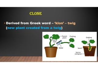 Cloning | PDF | Biological Sciences | Science