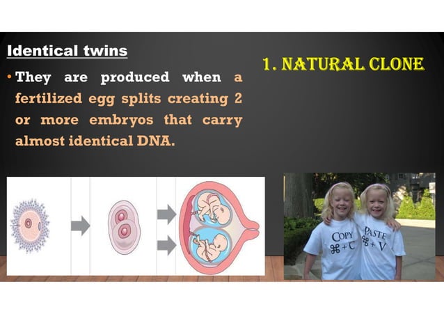 Cloning | PDF | Biological Sciences | Science