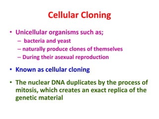 Cloning | PPTX