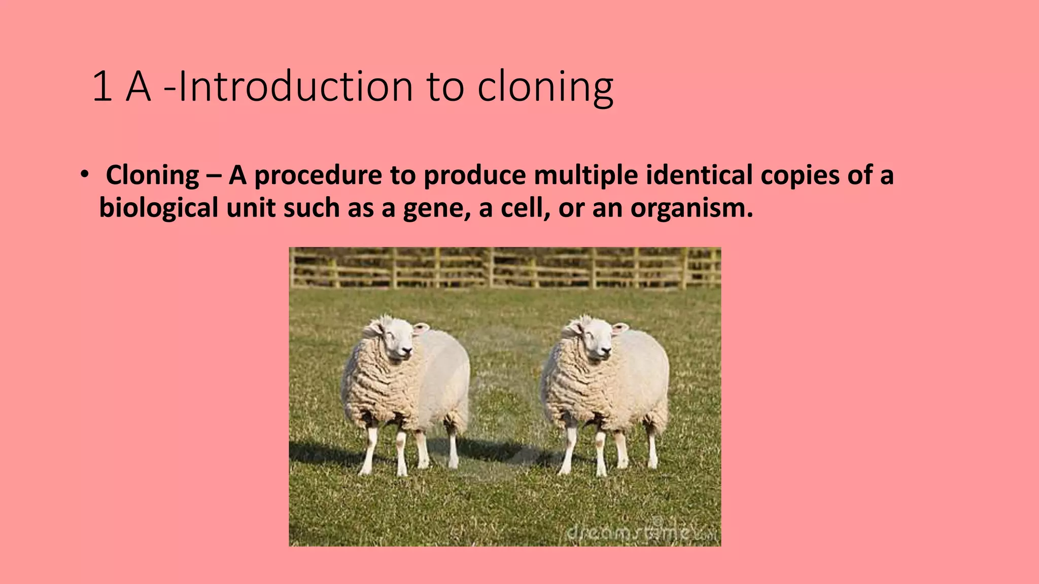 Cloning.ppt