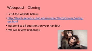 Cloning.ppt